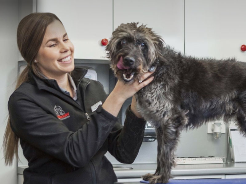 Clairfield advises National Veterinary Care on sale to VetPartners ...